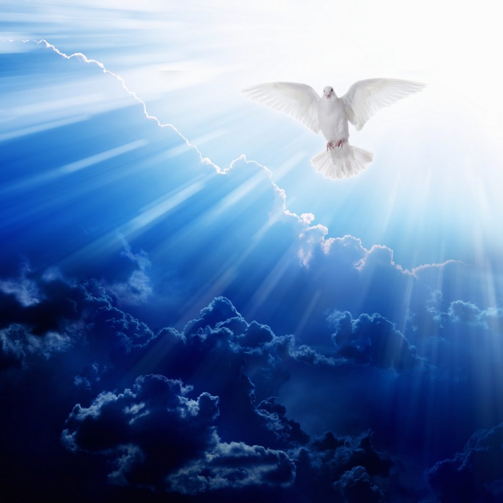 O Poder Do Esp rito Santo Essencial Em Sua Vida Encontro Com Cristo o-poder-do-esp-rito-santo-essencial-em-sua-vida-encontro-com-cristo